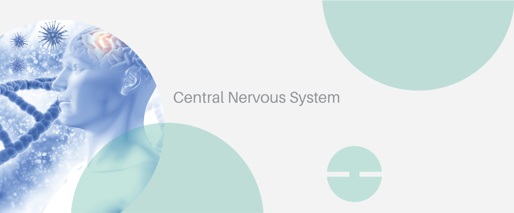 Central Nervous System - Dar Aldawa
